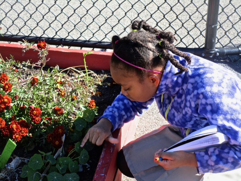 Mather Elementary School | Boston Teachers Union